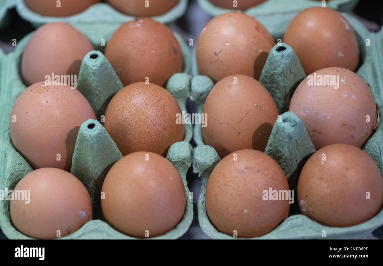 Free range eggs in boxes. North Yorkshire, UK Stock Photo - Alamy
