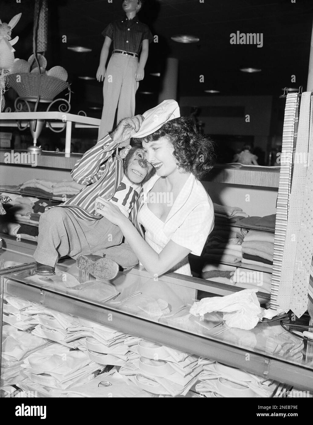TV and movie star of Tarzan movies, Zippy the chimp, goes shopping in ...