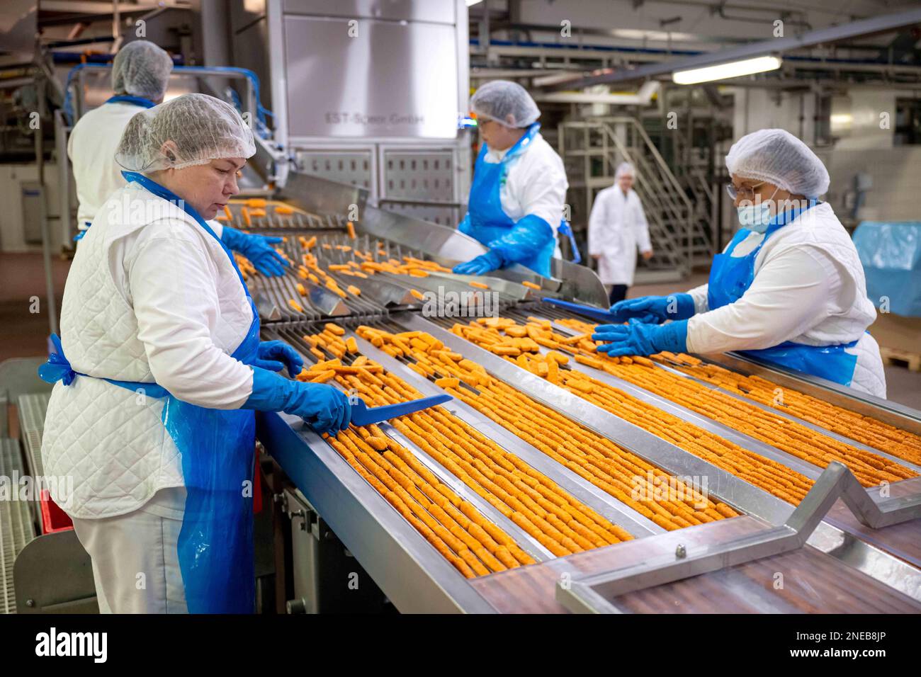 Bremerhaven, Germany. 16th Feb, 2023. Frosta's new vegan vegetable ...