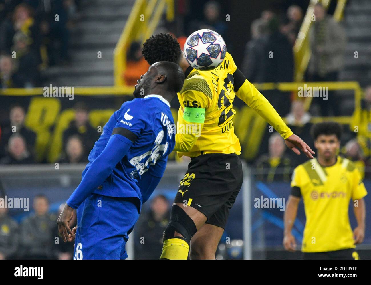 The Signal 2022 Legs