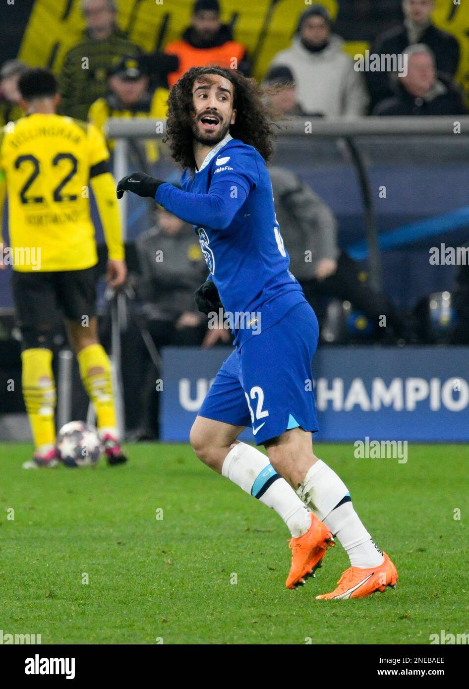 The Signal 2022 Legs