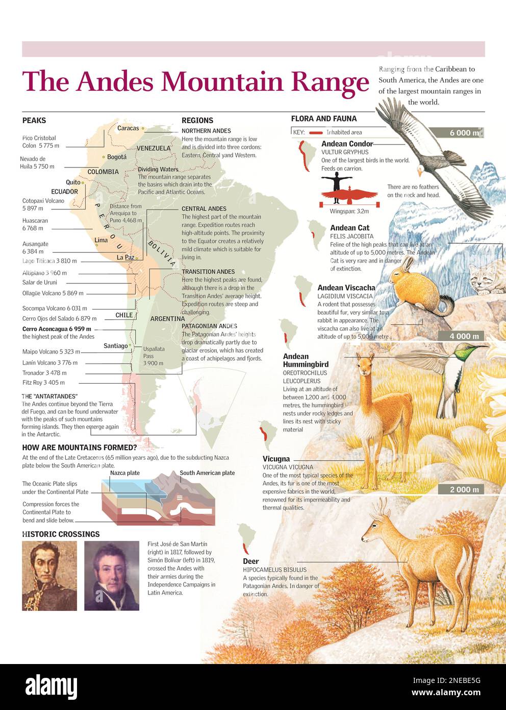Infographic on the Geography, flora and fauna of the Andes mountain ...
