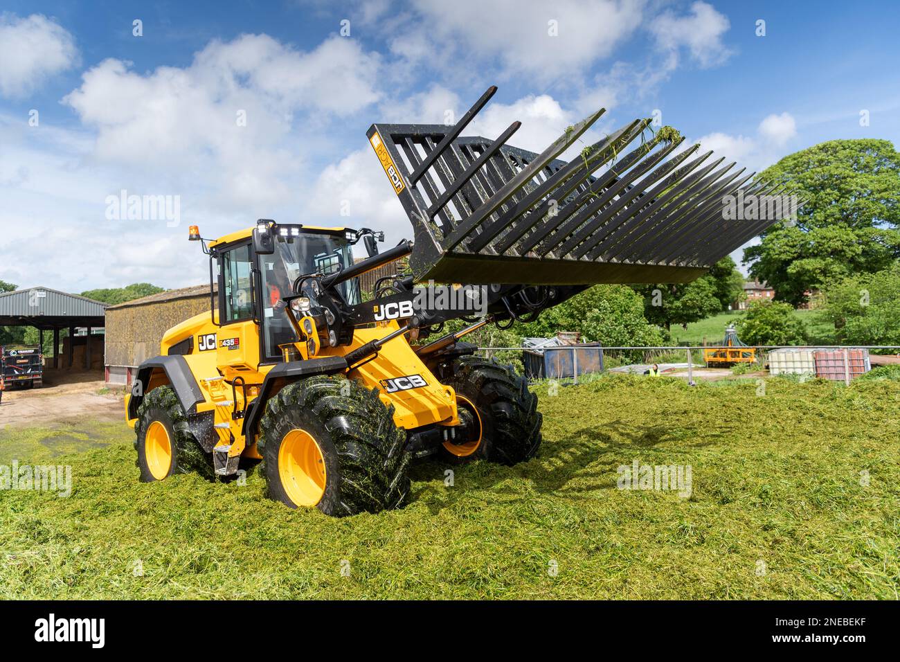 Filling the silage clamp on a dairy farm, using a JCB 435S loader and ...