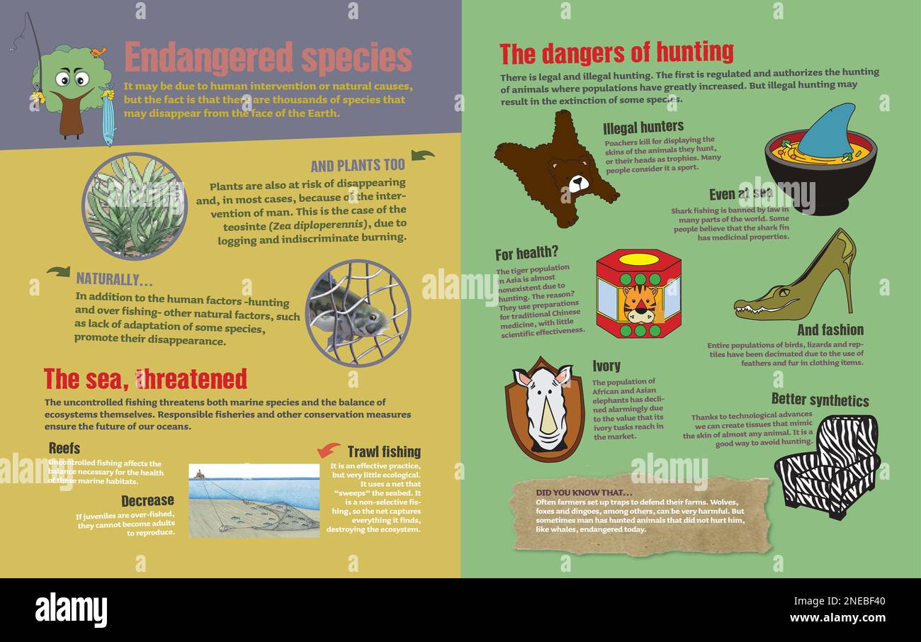 Infographic about the dangers of illegal hunting and the ...
