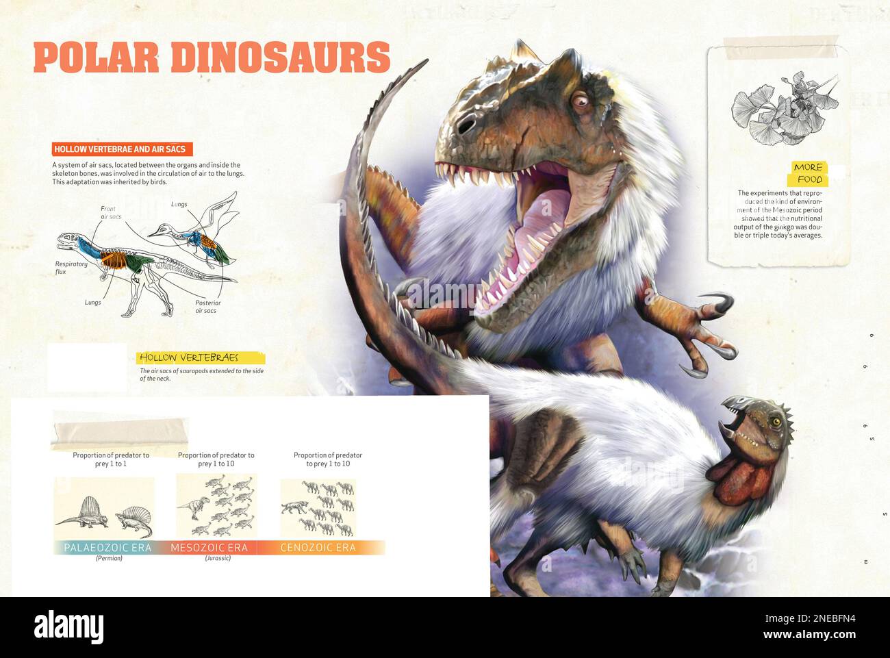 Infographics about the dinosaurs that lived in cold regions like the ...
