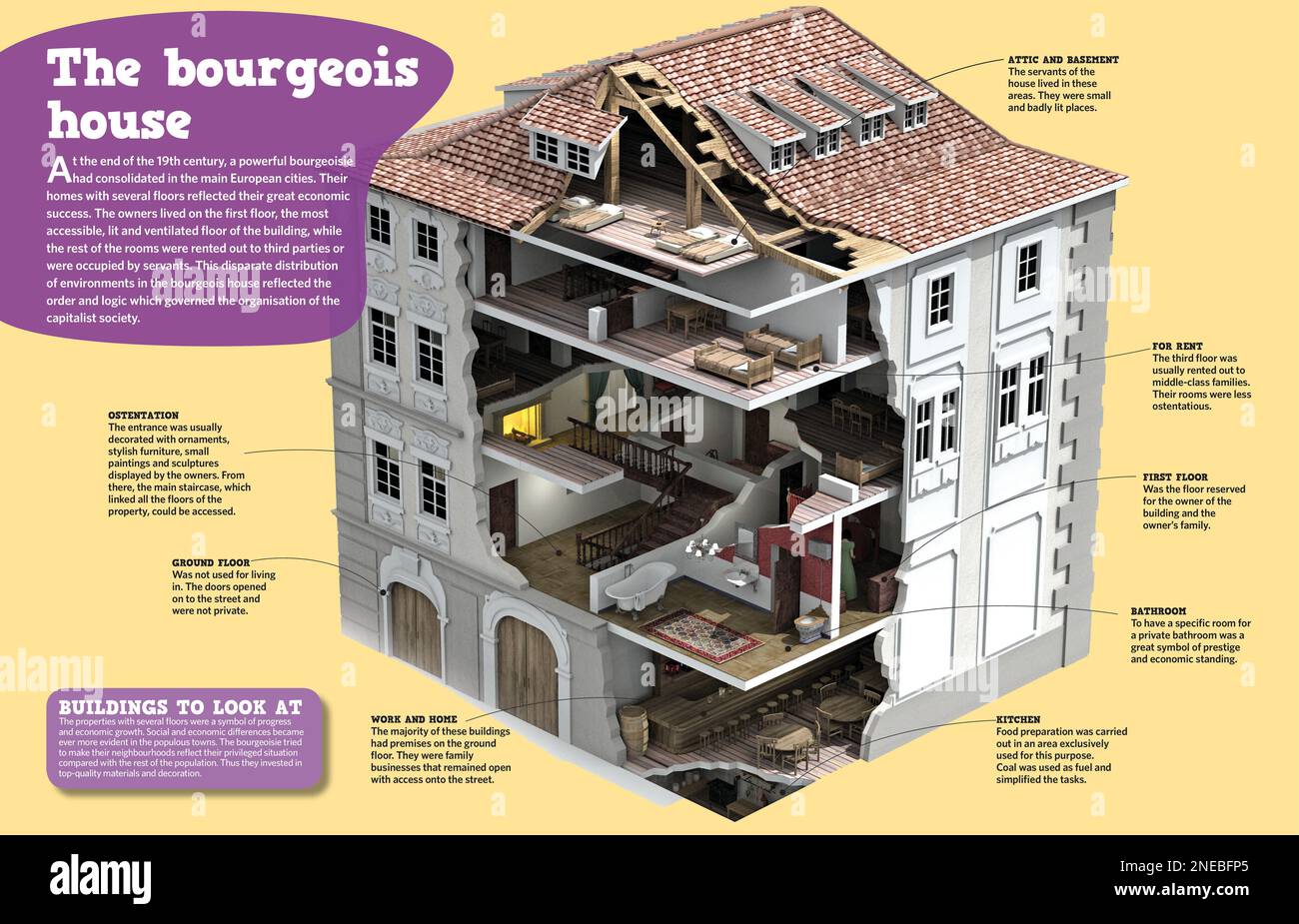 Infographic about bourgeois housing from the late nineteenth century ...