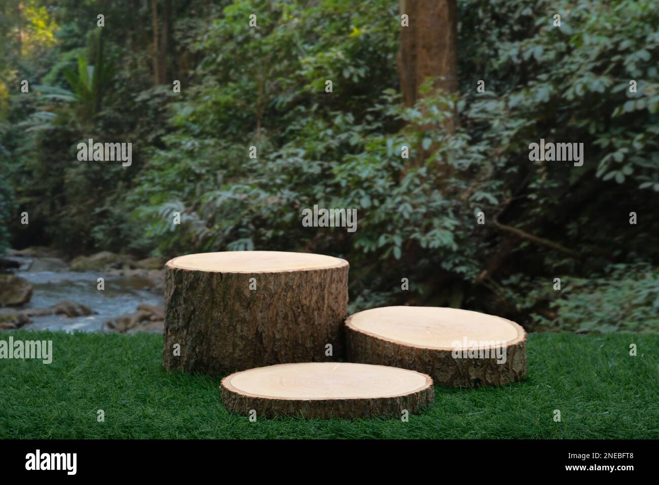 Wood podium table top in outdoor green lush tropical forest nature ...