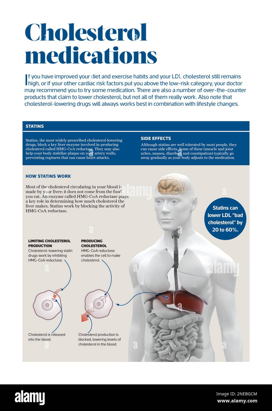 Infographic about how statins, medication to reduce cholesterol level ... Infographic about how statins, medication to reduce cholesterol level ...