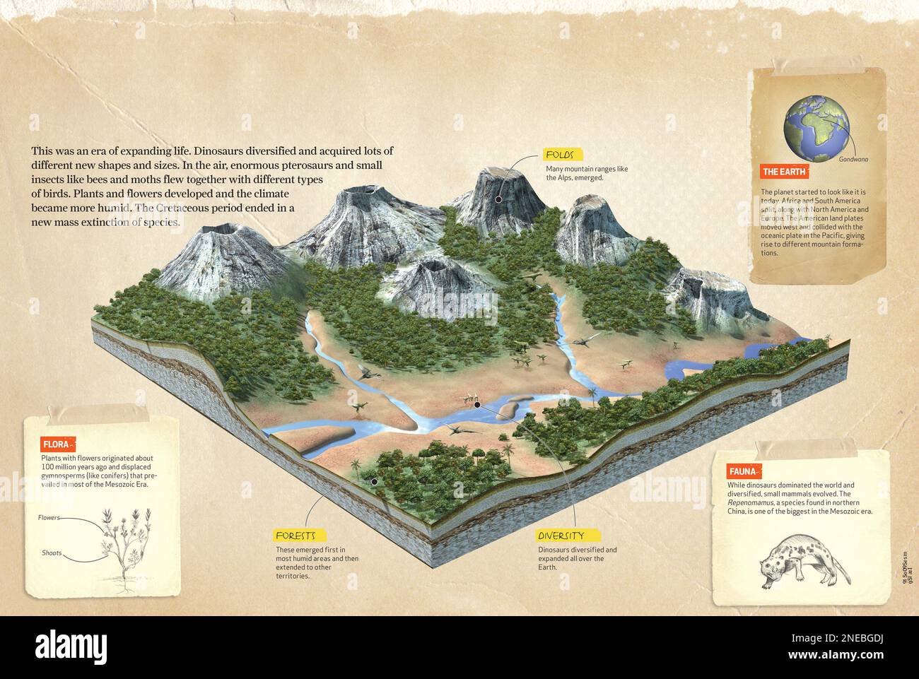 Infographics about the Cretaceous period of the Mesozoic era, when ...