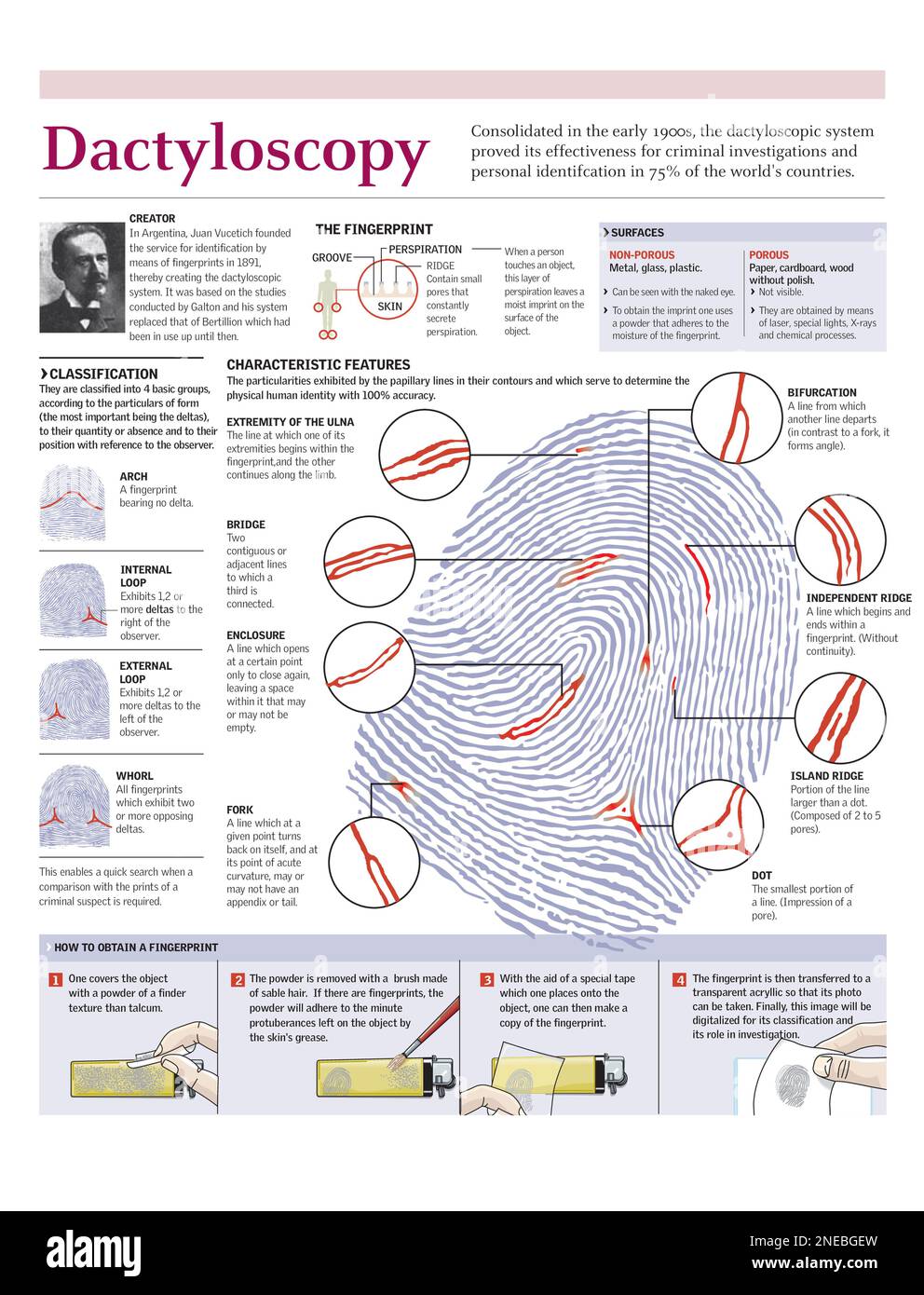 Infographics of the fingerprint identification process. [Adobe ...