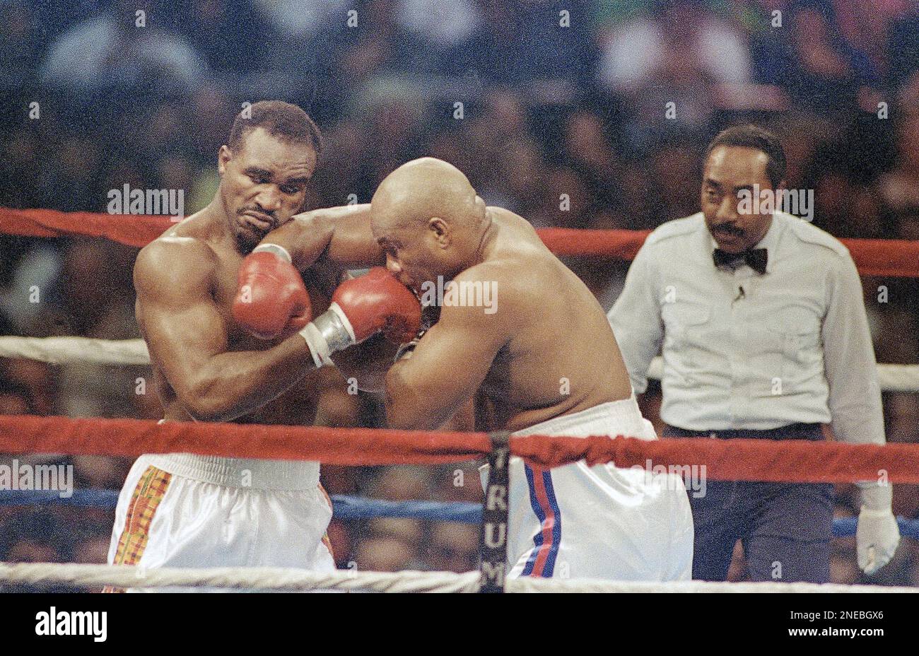 Professional sportsperson action competition aggression strength boxing ...