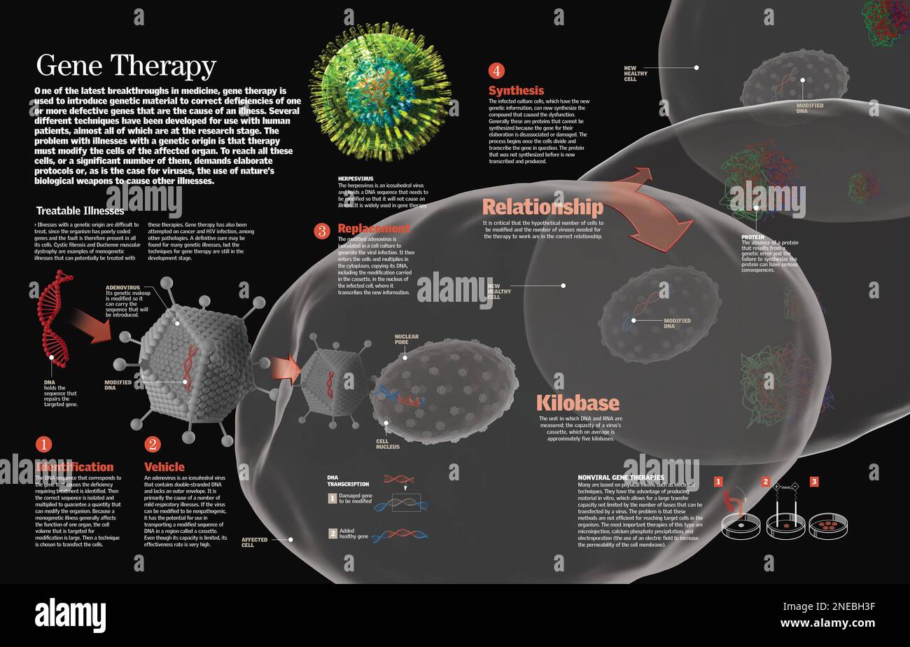 Infographic of the techniques of genetic therapies to remedy ...