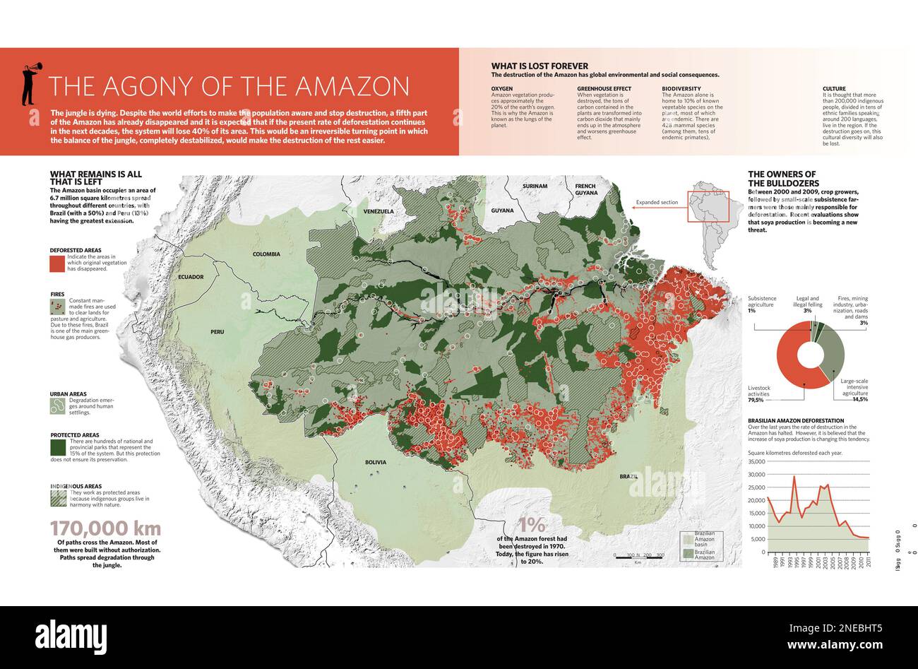 Computer graphics that analyses the status of the Amazon jungle and the ...