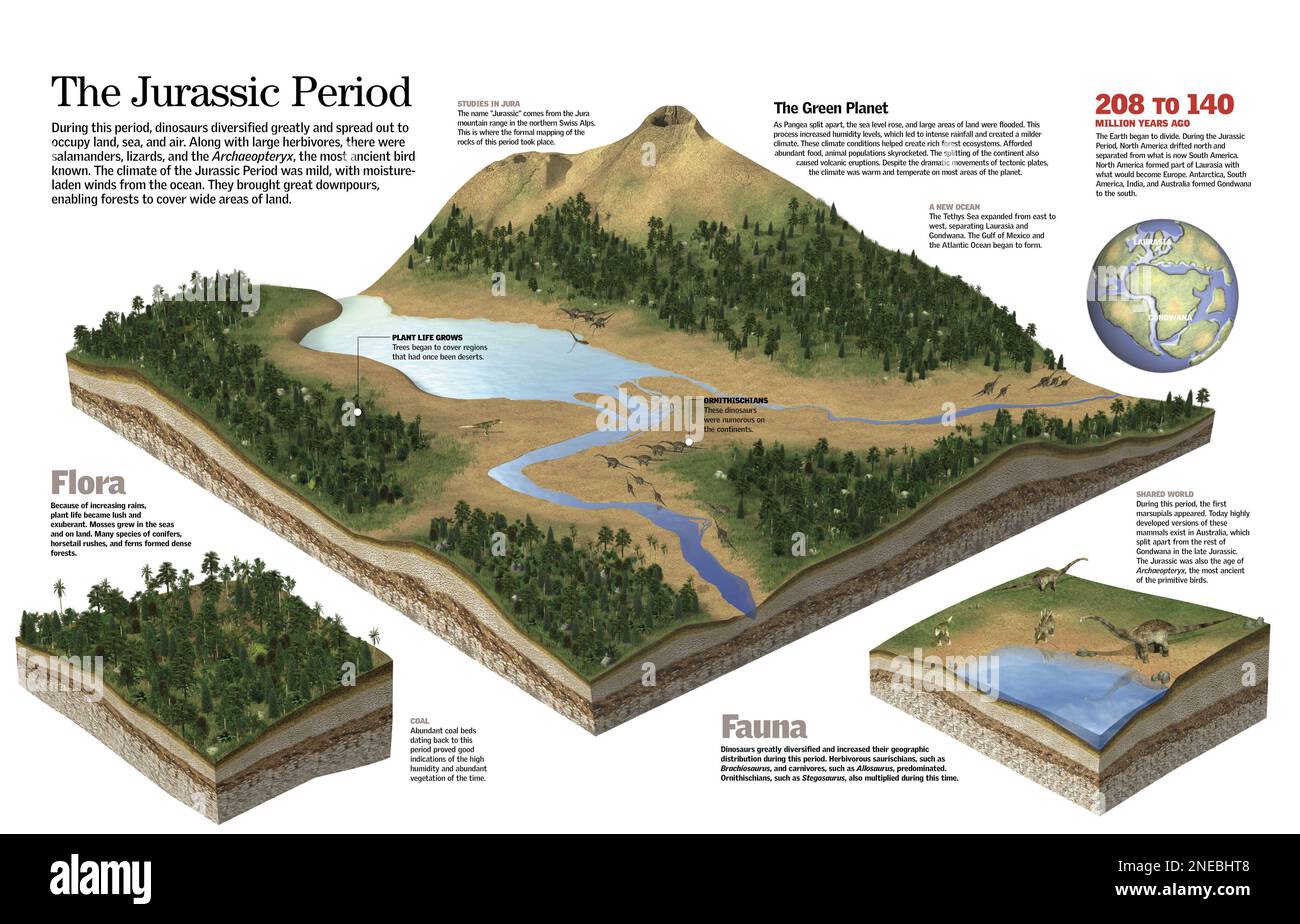 Jurassic Time Period Environment New Dinosaur Discovered In Antarctica