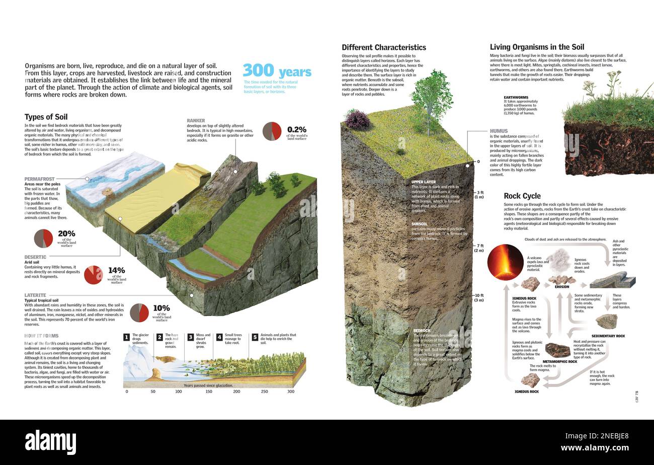Infographic of the layers of soil, its formation and types ...