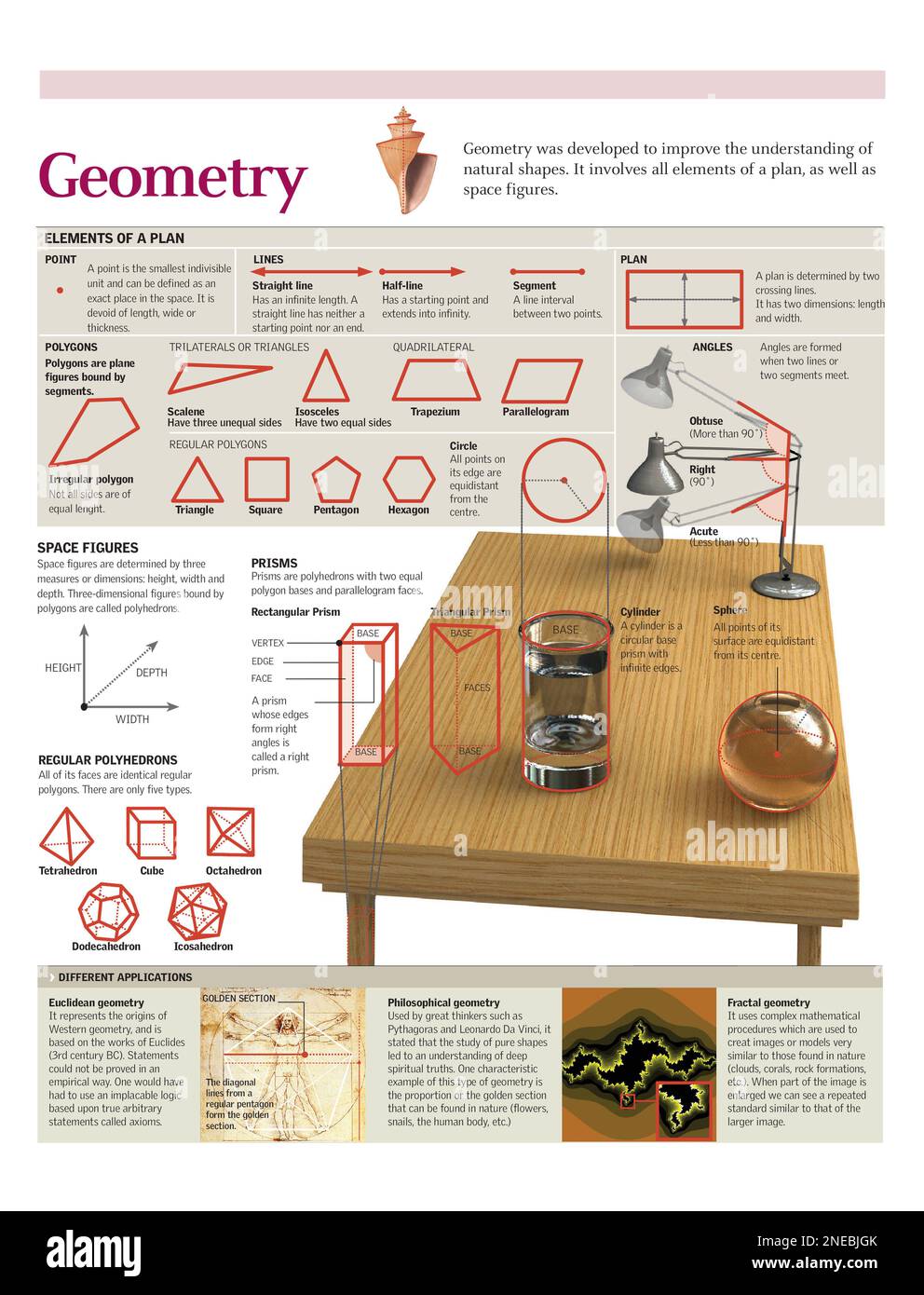 Infographics of the main elements of geometry: the elements of plane ...