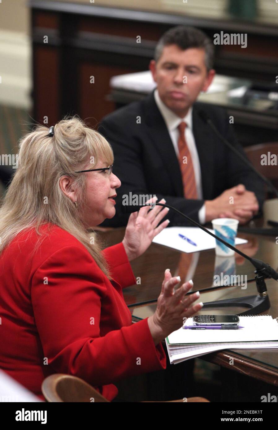Alexandra Galladro-Rooker, first vice chair of the California ...
