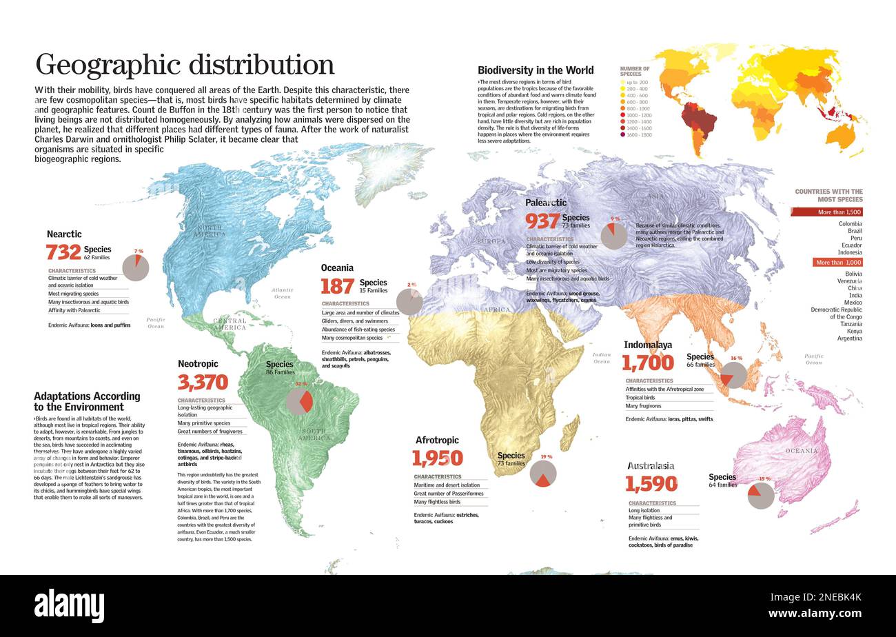Infographics of the geographical distribution of the birds according to ...