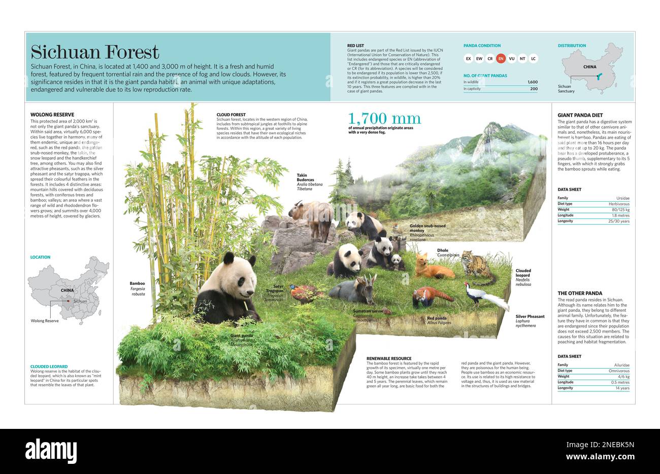 Infographic of the ecosystems of the Sichuan forest (China ...