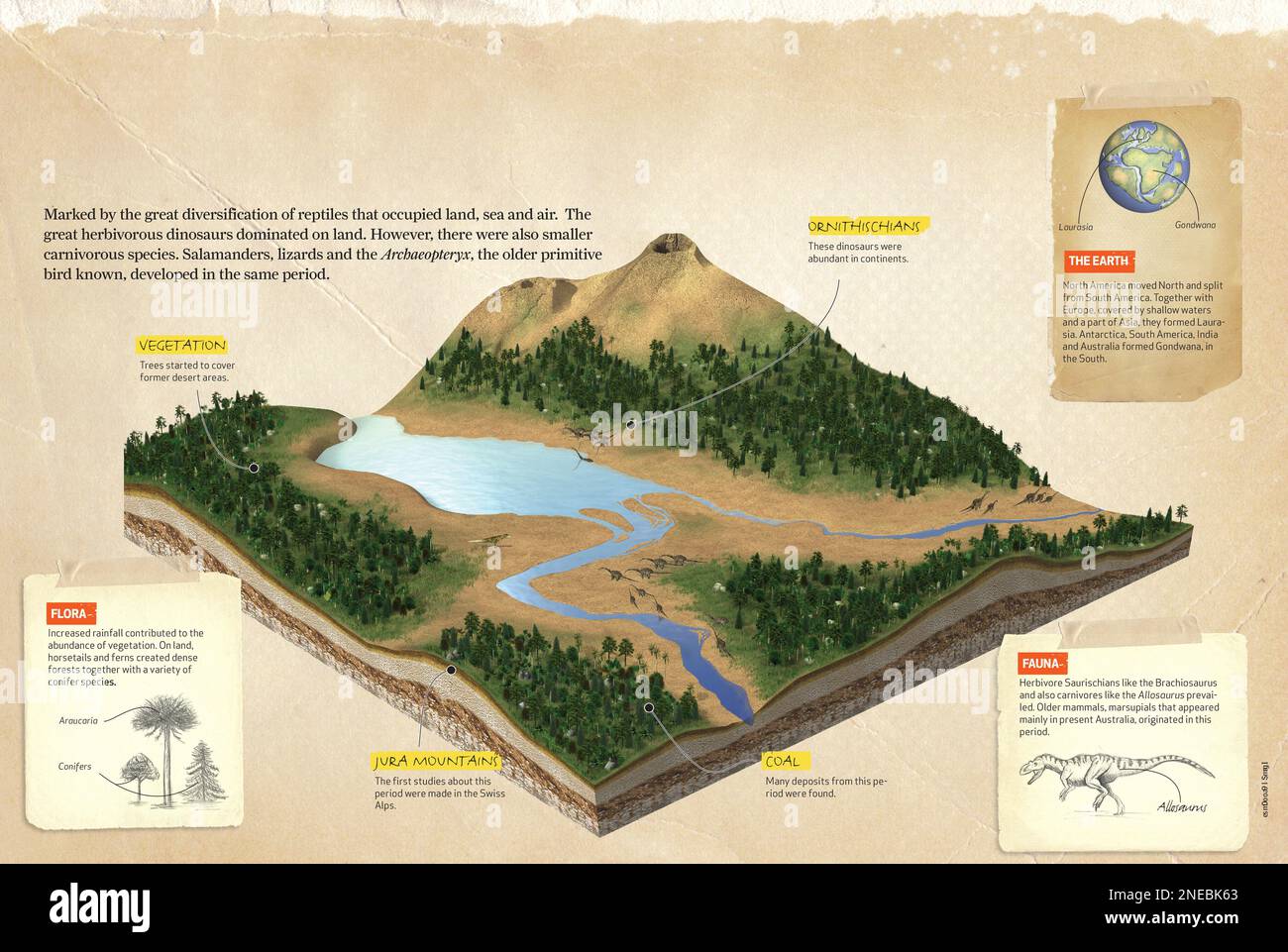 Infographics about the Jurassic period of the Mesozoic era, when ...