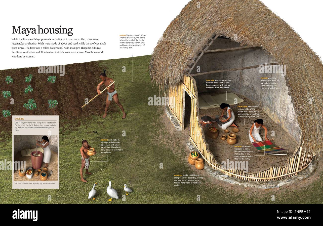 Infographics which present the characteristics of the Maya homestead ...