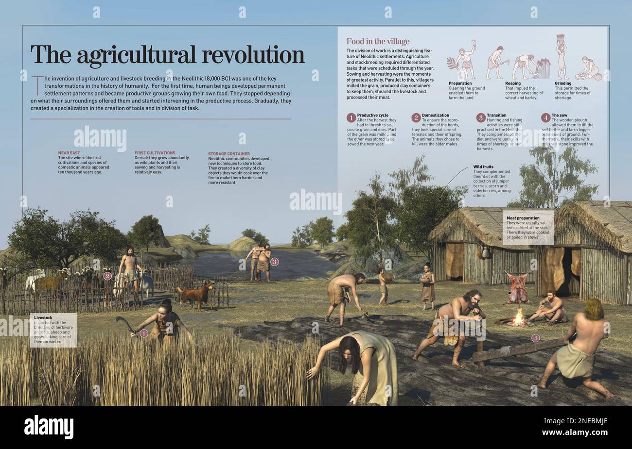 Infographic About The Development Of The First Agricultural And Farming
