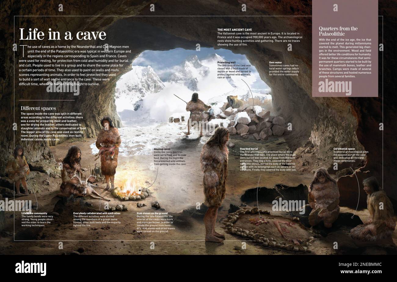 Infographic about the caves homo neardenthalensis and Cromagnon ...