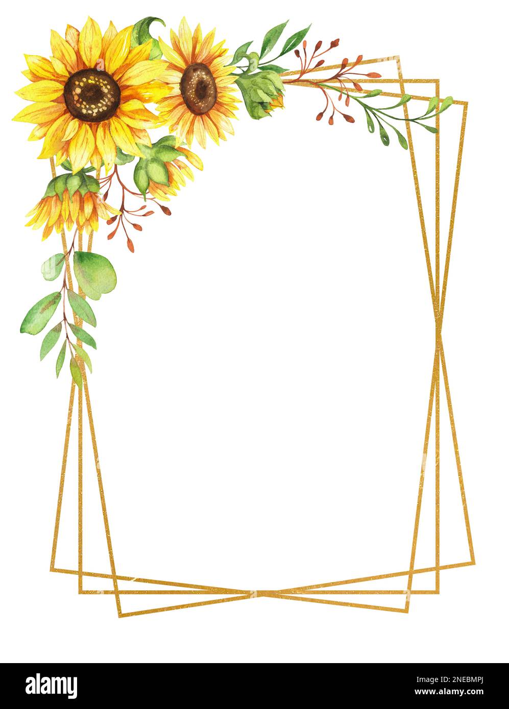 Botanical wild flowers vintage frame Cut Out Stock Images & Pictures ...