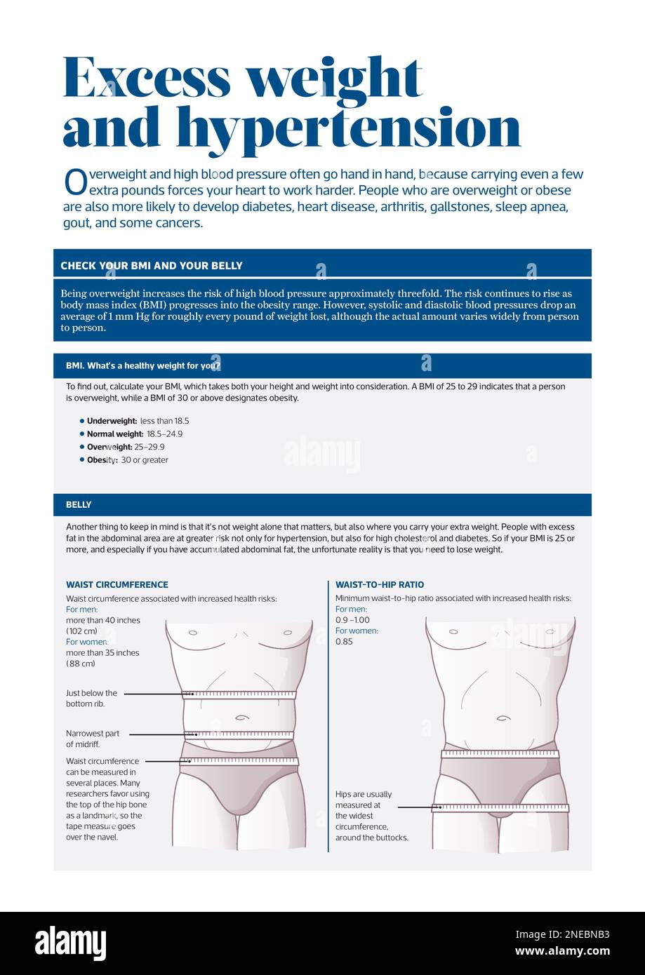 Infographic about the body mass index (BMI) and about how a healthy ...