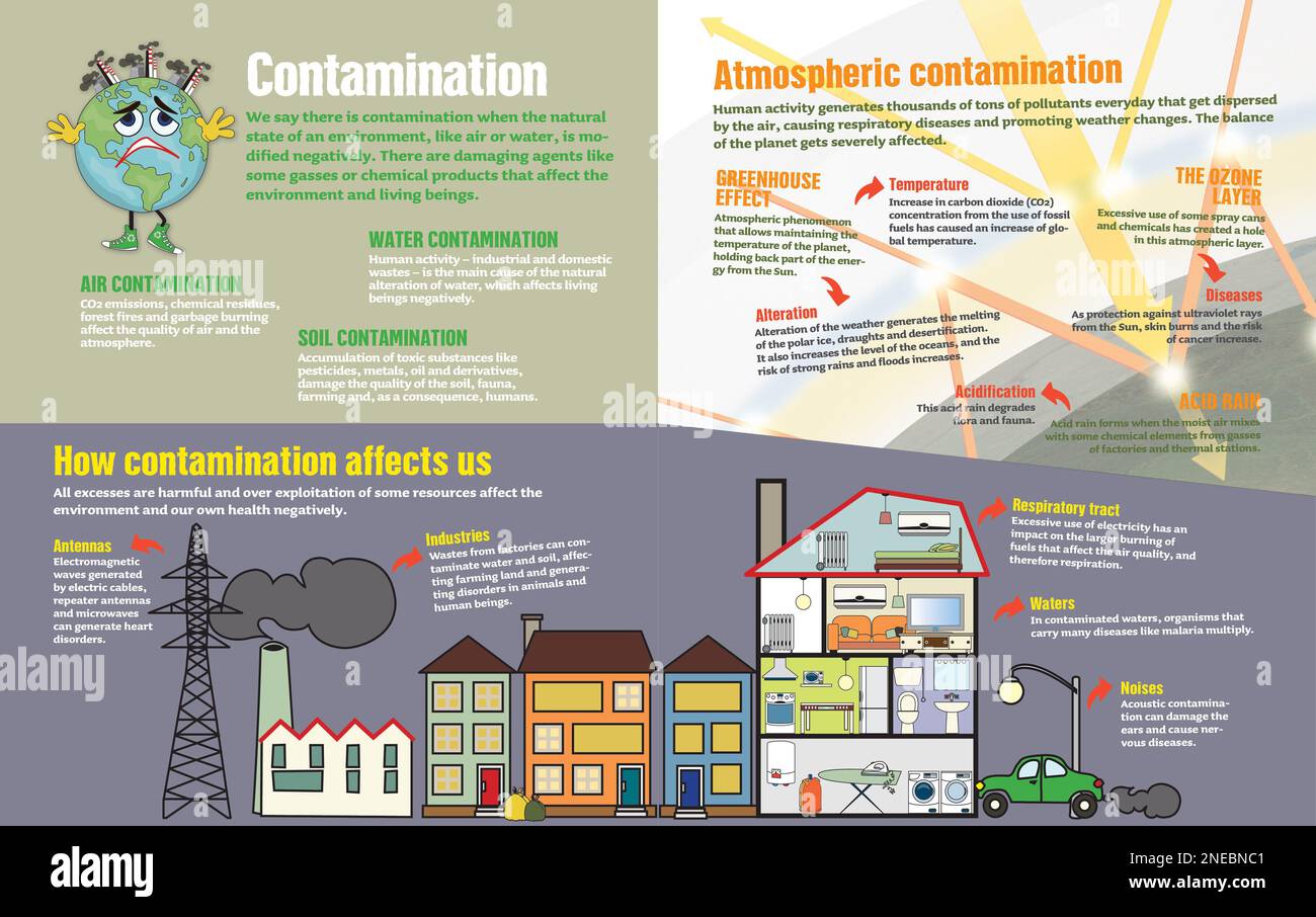 Infographic about several types of contamination and about how this ...