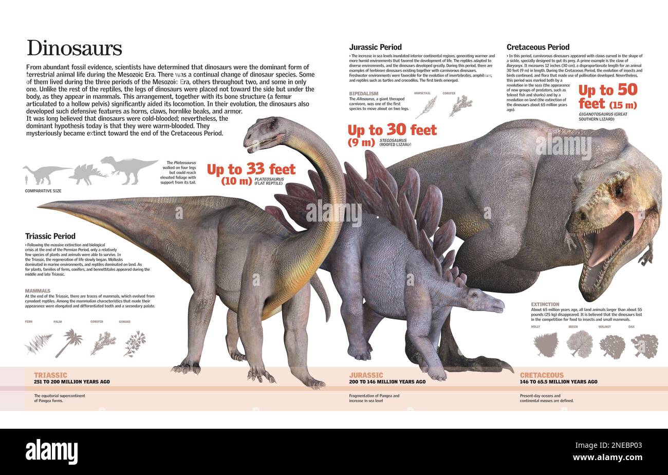 Infographic of the species of dinosaurs that dominated the Earth during the Triassic, Jurassic ...