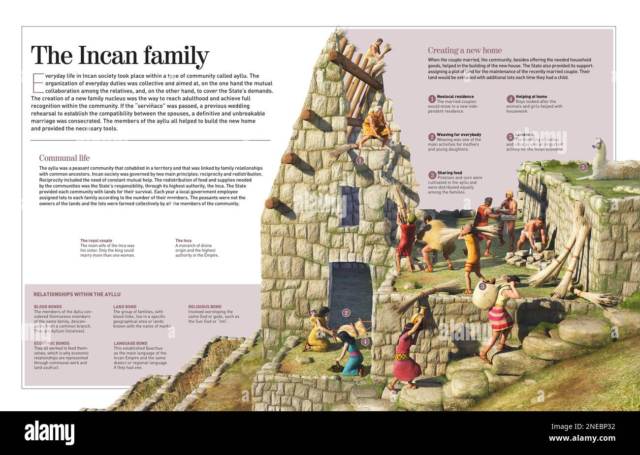 Infographic about Inca societies (1500) about their everyday life, how ...