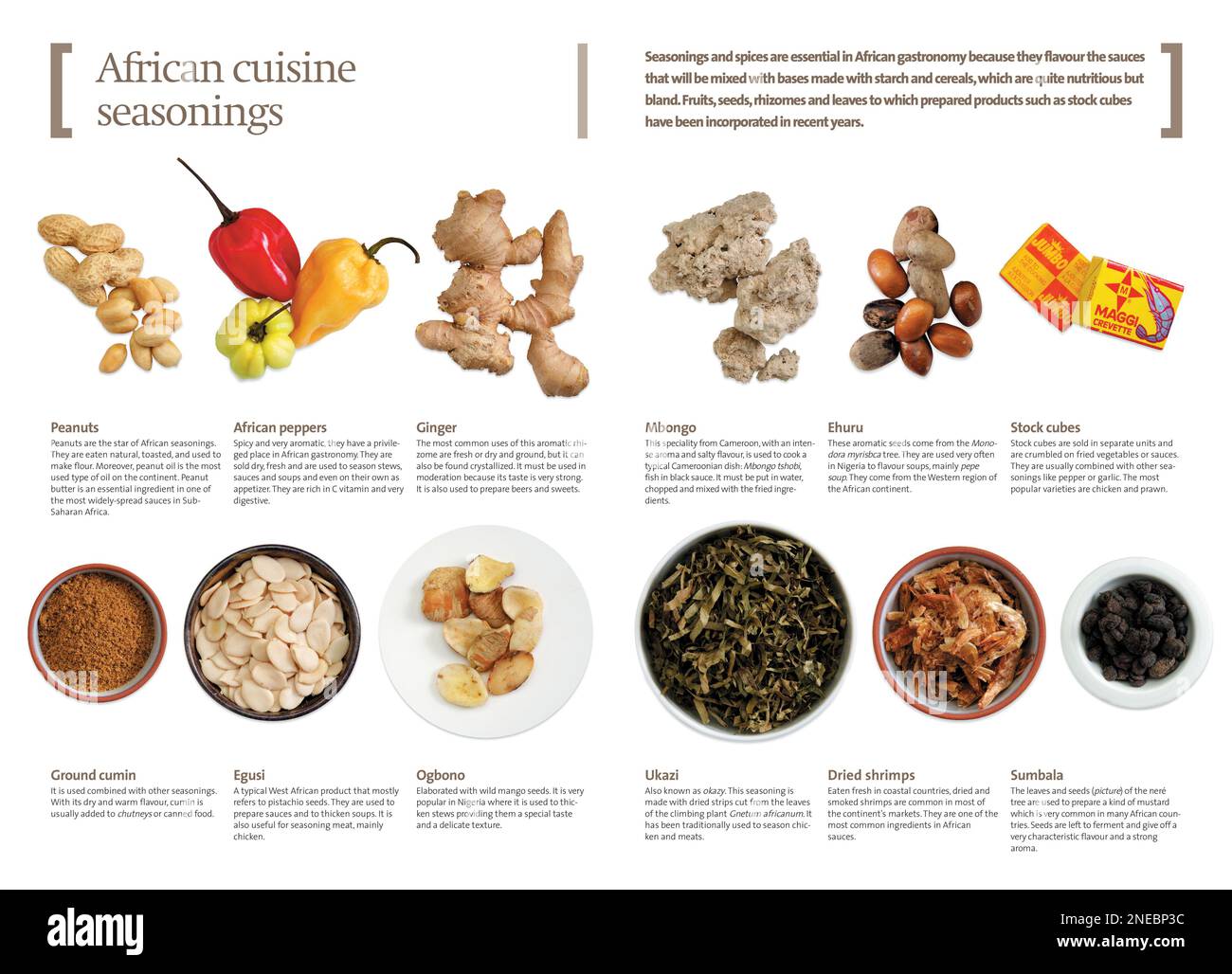 Infographics about the main seasonings and spices used in the ...