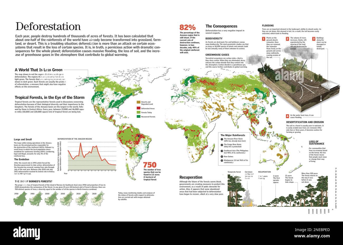 Infographic of the consequences of deforestation of jungles and forests ...