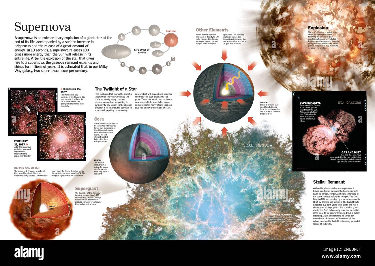 Infographic about a supernova formation occurring at the end of a star ...