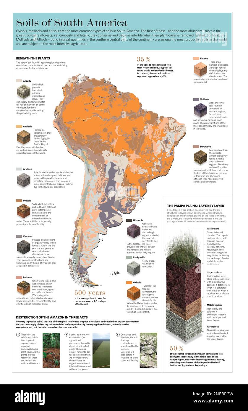 Infographic of different types of terrains (or soils) of South America ...