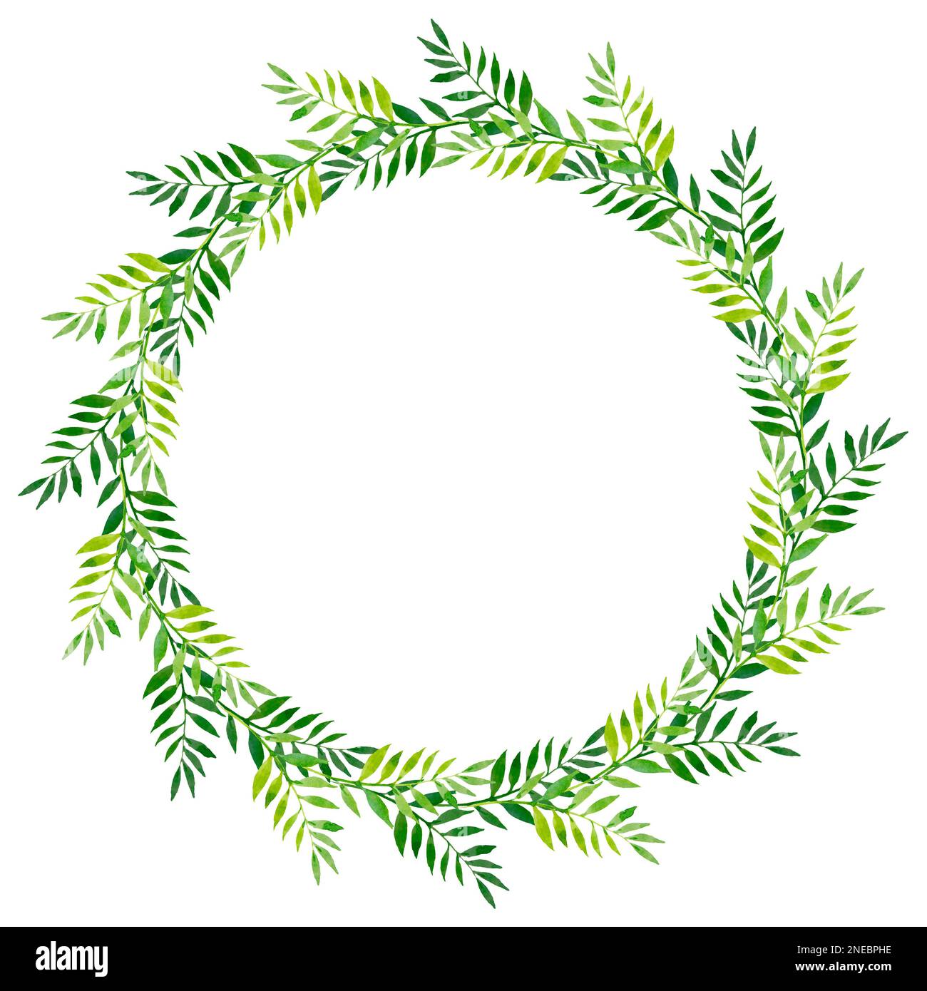 delicate wreath of grass and green leaves, watercolor illustration ...