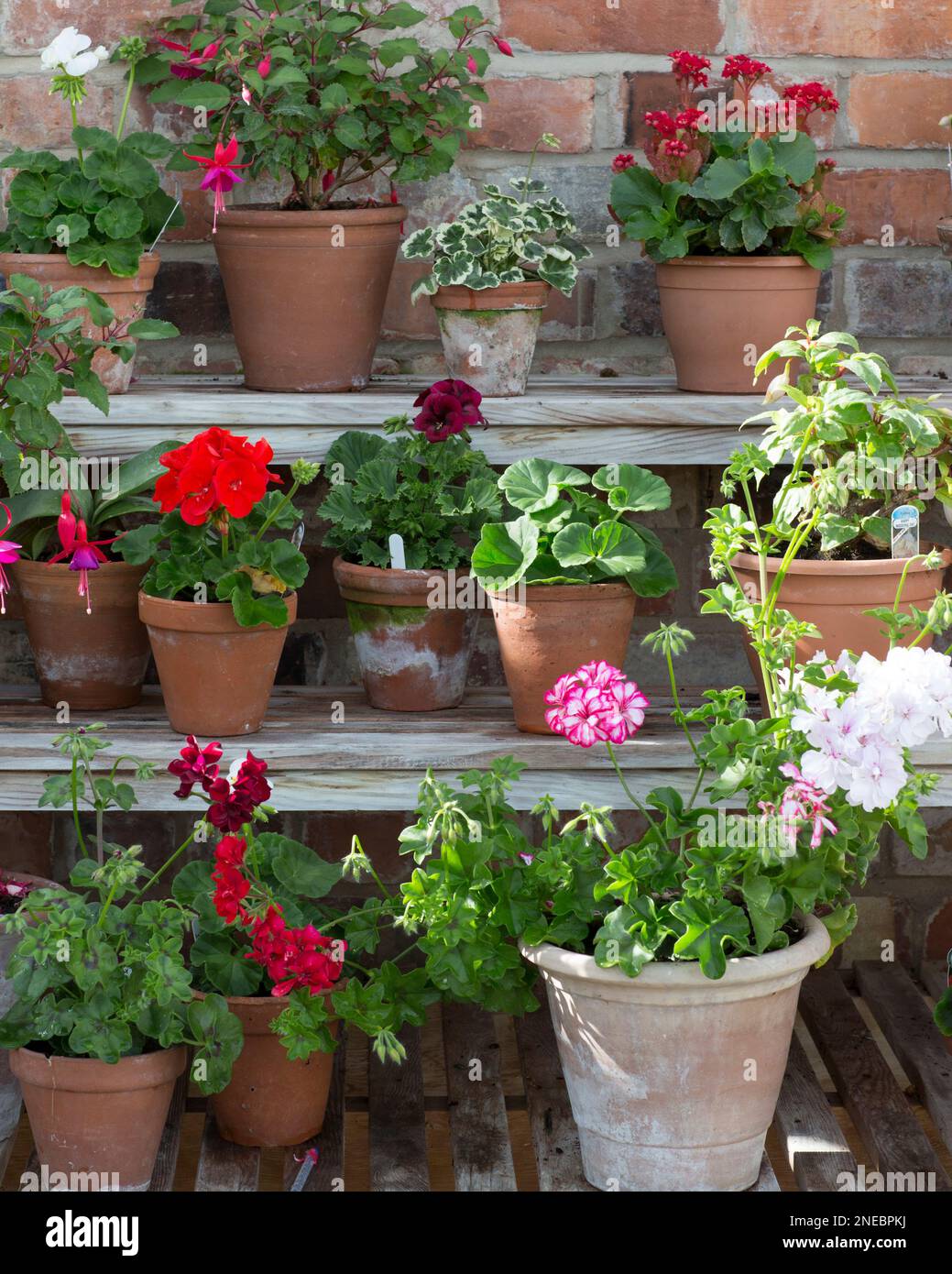 Tiered gardens hi-res stock photography and images - Alamy