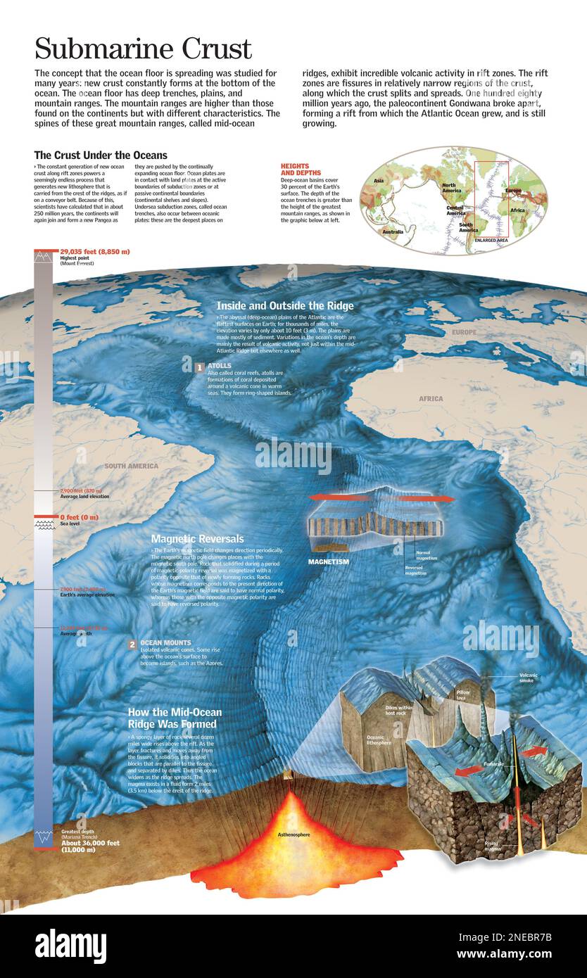 Infographic about the structure of a ocean ridge and ocean floor ...
