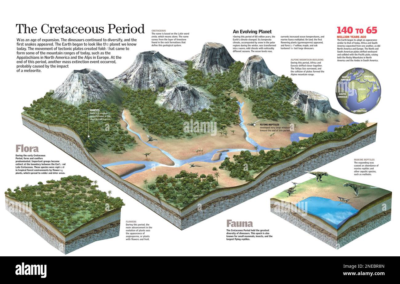 Infographic of the relief and the environment during the Cretaceous ...