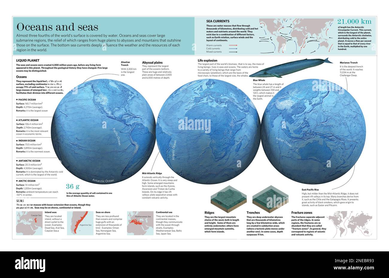 Infographic on the oceans and seas on Earth. [Adobe Illustrator (.ai ...