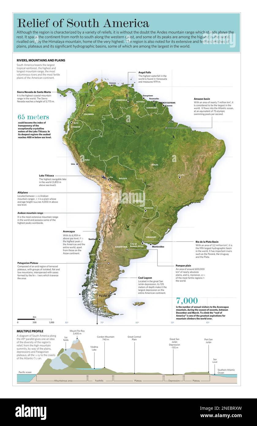Infographic of the relief characteristics of South America. [Adobe ...