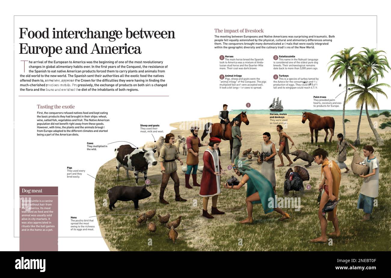 Infographic about food exchange involved in the conquest of the ...
