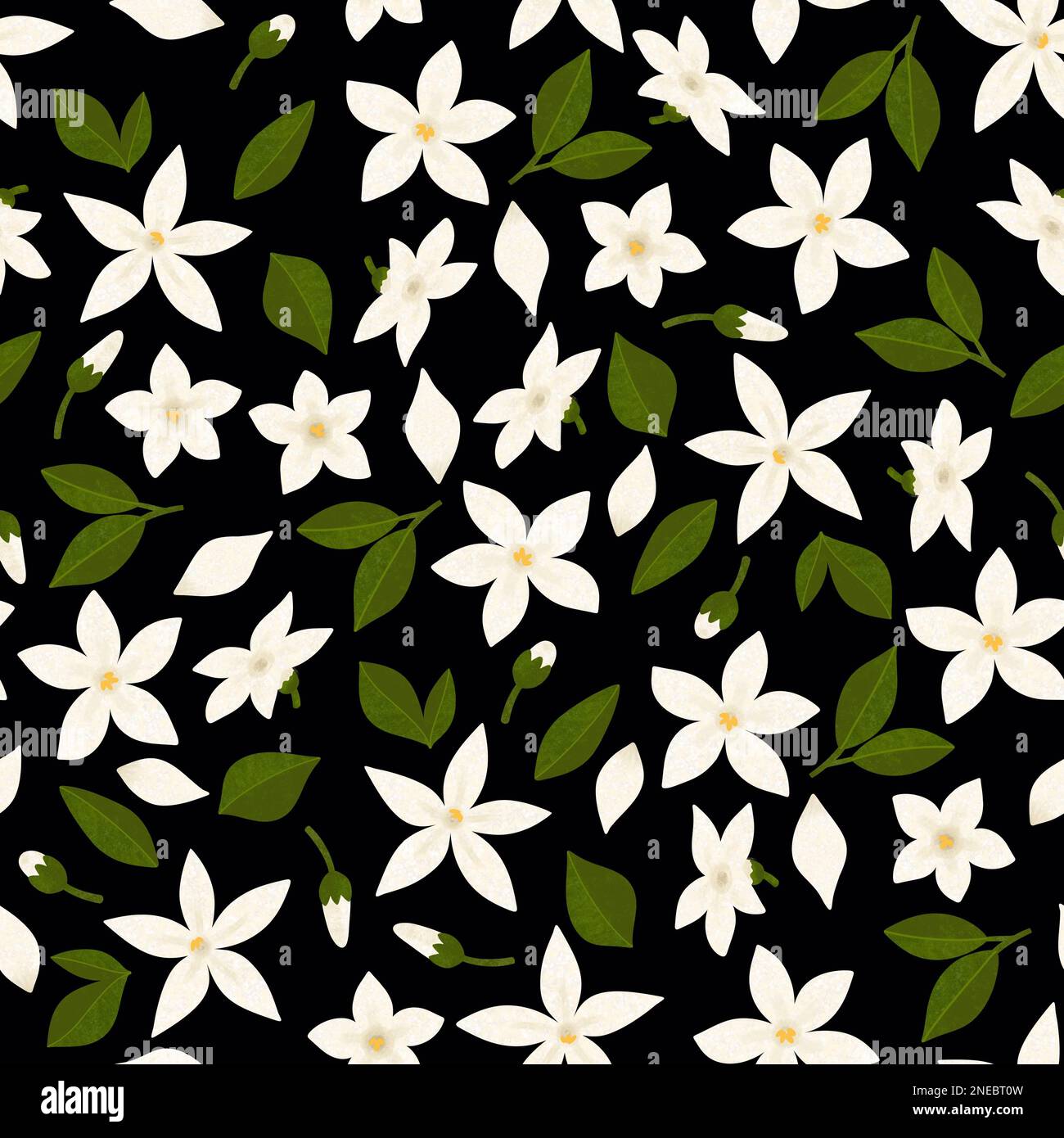 Jasmine flowers seamless pattern. Hand drawn textured white flowers ...