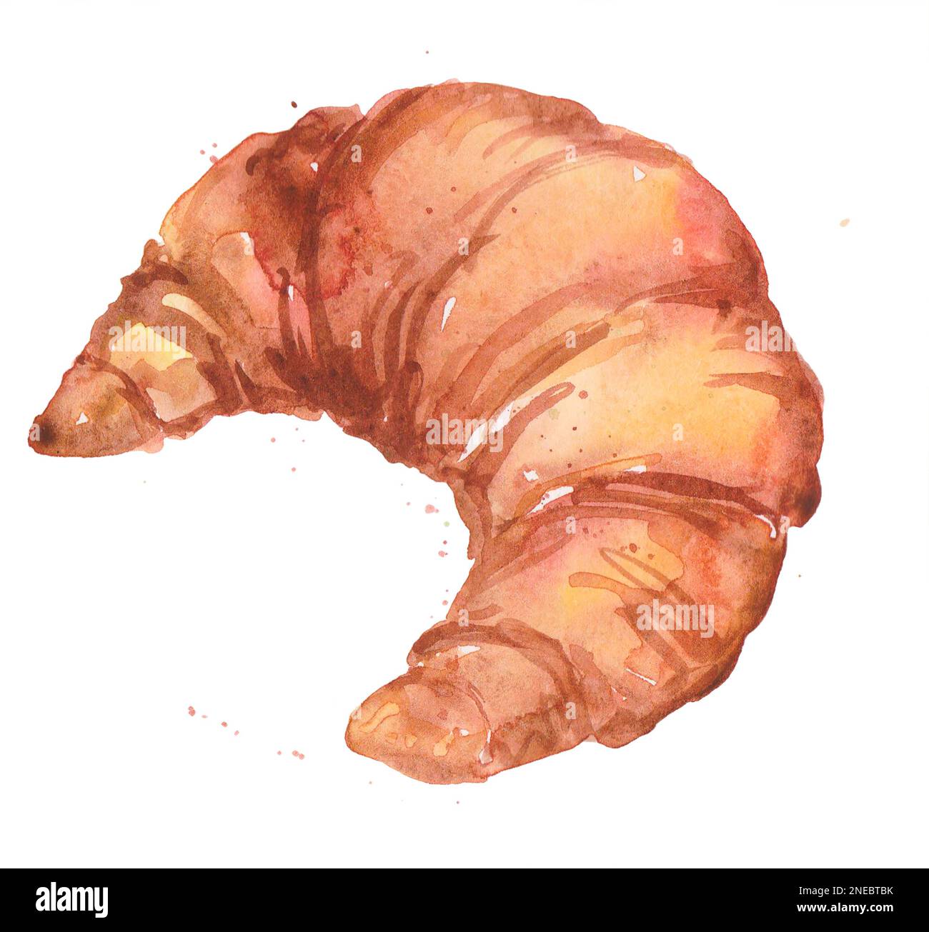 watercolor illustration, croissant, sketch. Drawing baking for menu ...