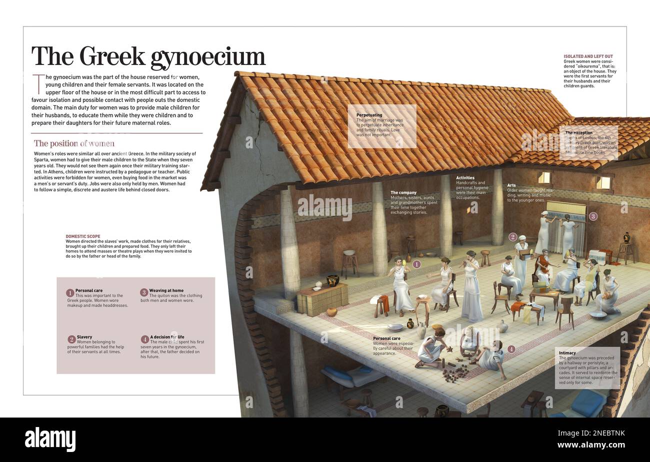 Infographic that shows feminine condition in Greece 400 BC when women ...