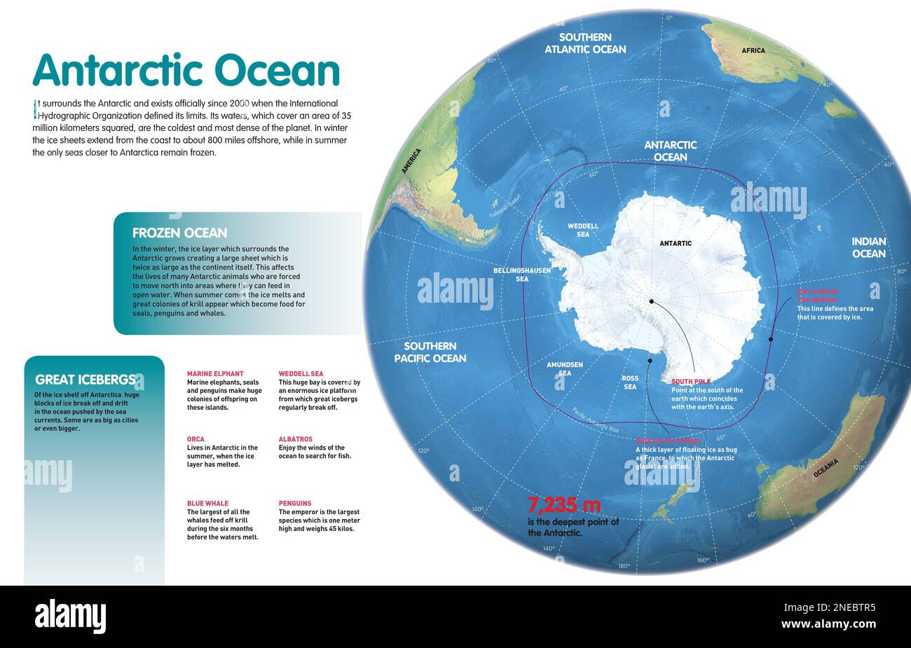 Infographic about the Antarctic ocean that surrounds Antarctica, its ...