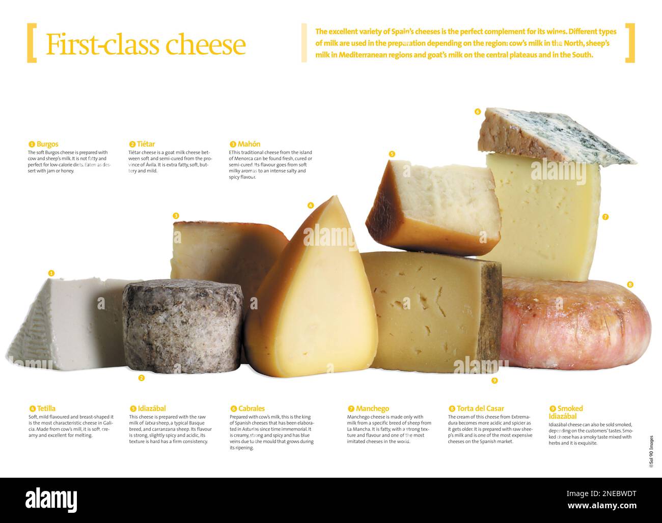 Infographics about types of cheese produced in Spain, depending on the ...