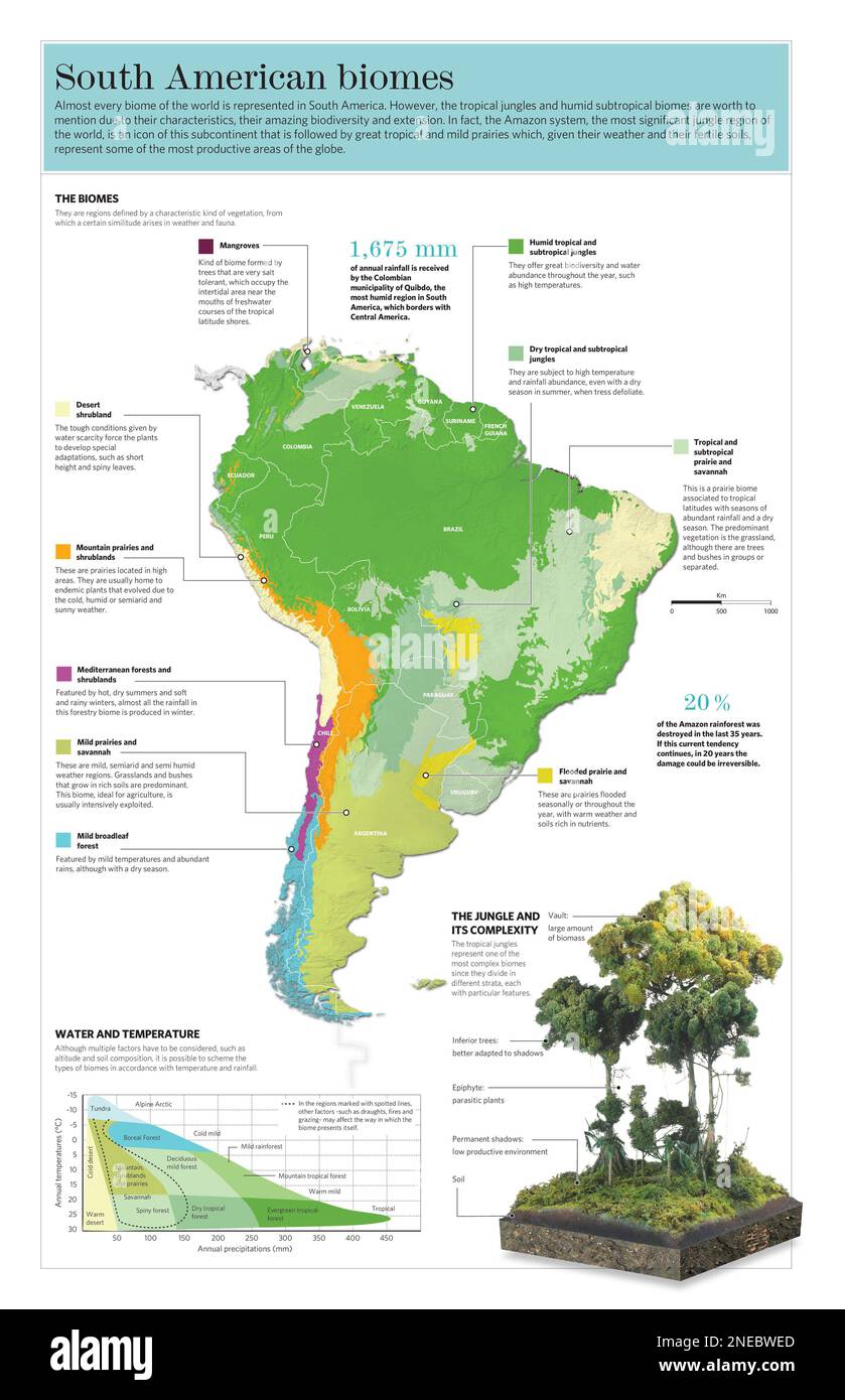 Infographic of the different of biomes of South America and their ...