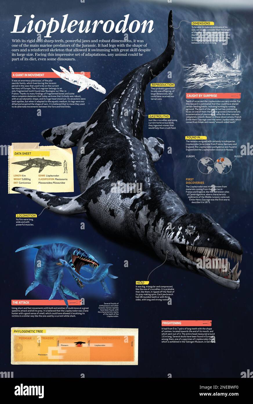 Mosasaur Vs Liopleurodon